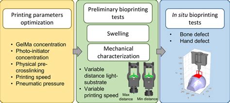 Automatic Photo Cross Linking System For Robotic Based In Situ Bioprinting Acs Biomaterials