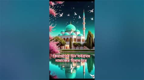 কেয়ামতের দিন সর্বপ্রথম নামাজের হিসাব হবে 🔥🔥 Islamicstatus Dua Shortvideo Shortsvideo