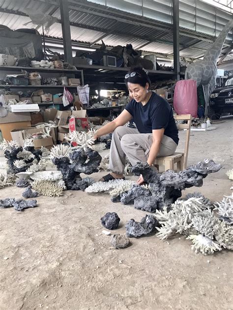 ตกแต่งตู้ปลา หินเทียม ปะการังเทียม ศิลป์สยามไฟเบอร์กล๊าส