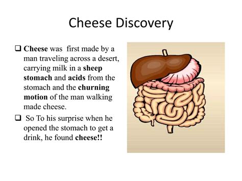 Fermentation Slides Pptx Chemistry Science