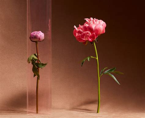 Conceptual Photography By Aaron Tilley Daily Design Inspiration For