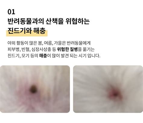 안티버그 쿨링 민소매플라워 옐로우 감도 깊은 취향 셀렉트샵 29cm