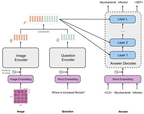 Kye G On Linkedin Exploring Vision Language Models In Medical Imaging