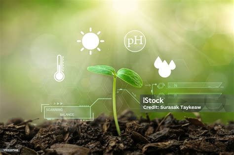 씨앗을 뿌리기 전에 토양의 질을 확인합니다 미래 농업 개념 식물 재배 적합성 햇빛 온도 습도 Ph 현대 농업 기술을 활용한 스마트 농업 흙에 대한 스톡 사진 및 기타 이미지