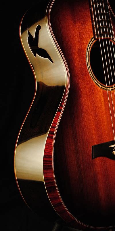 The Acoustic Guitar Forum View Single Post Most Beautiful Acoustic