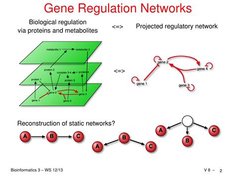Ppt Bioinformatics 3 V9 Dynamic Regulation Petri And Boolean