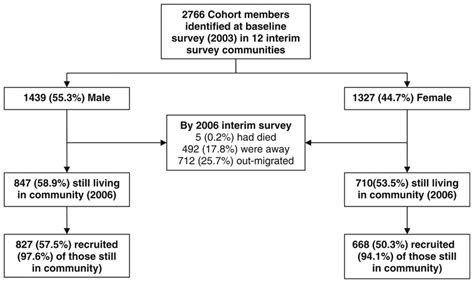 Flow Chart Showing Participation In Interim Survey Download