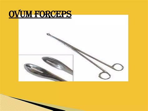 Gynecological And Obstetrics Instruments Ppt