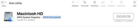 Mac Os Extended Vs Apfs
