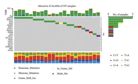 Identification Of 19 Crgs And Their Genetic Mutational Landscape A