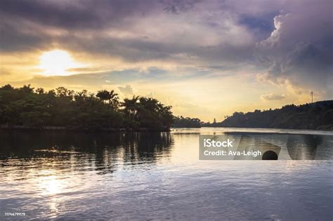빅토리아 나일 강의 일몰 전망 나무가 자라며 물 진자 우간다 아프리카의 반사 나일 강에 대한 스톡 사진 및 기타 이미지 나일 강 풍경 0명 Istock
