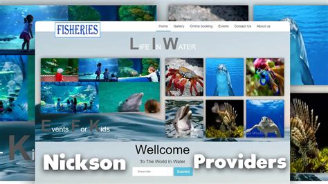 Bootstrap 4 Feedback Form How To Create Feedback Form In Bootstrap 4
