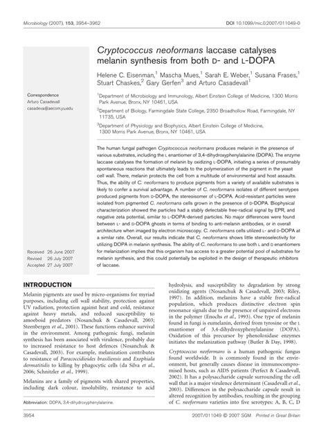 Pdf Cryptococcus Neoformans Laccase Catalyses Melanin Synthesis From Both D And L Dopa