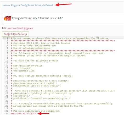 Suspicious Process Running Under User Nobody