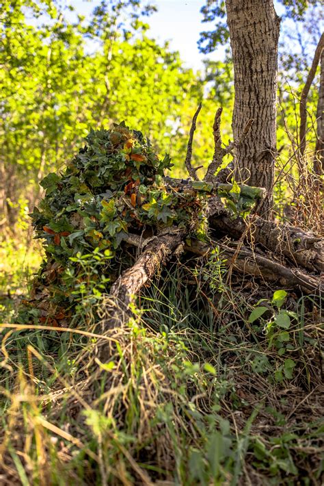 What Is The Difference Between Camouflage And Concealment Difference Digest