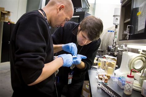 Want To Be A PI What Are The Odds Science AAAS