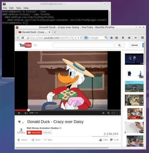 firejail a security sandbox for mozilla firefox r linux