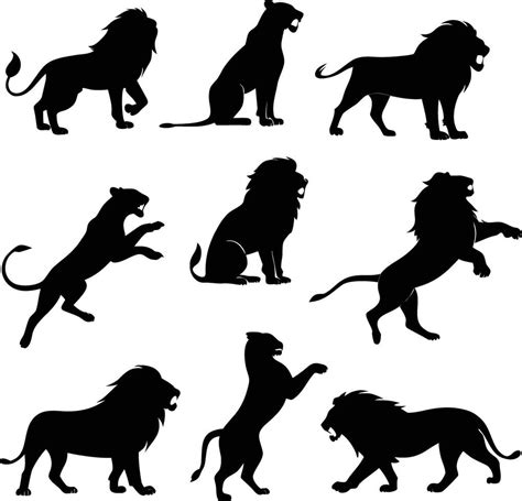 León Silueta Haz Conjunto Diseño Un Colección De 9 9 Negro León Siluetas En Varios Poses
