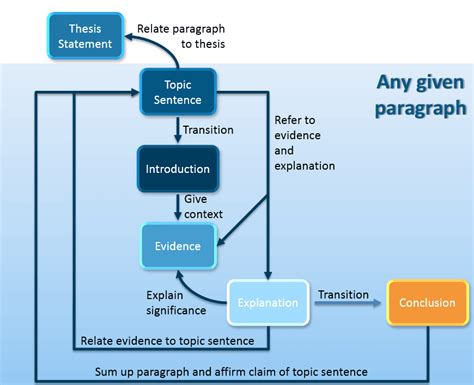 How To Structure A Paragraph In An Academic Essay