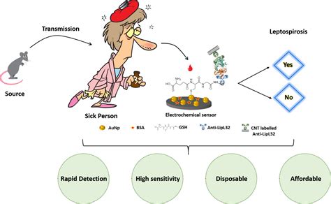 A Disposable Sensor For Diagnosing Leptospirosis Biopatrika
