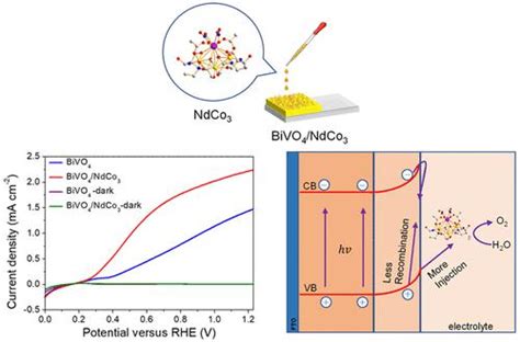 NdCo3 Molecular Catalyst Coupled With A BiVO4 Photoanode For