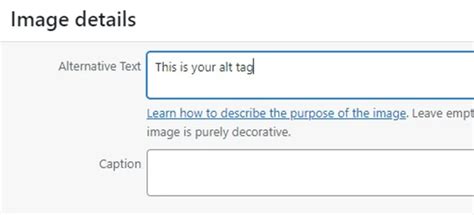 The Importance Of Alt Attributes In Seo Link Department