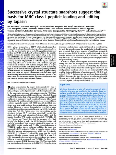 Pdf Successive Crystal Structure Snapshots Suggest The Basis For Mhc Class I Peptide Loading