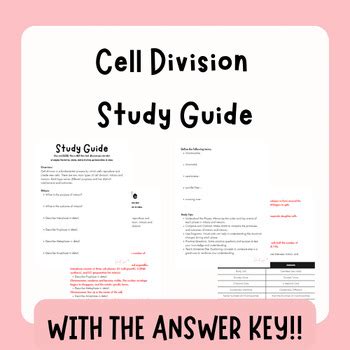 Cell Division Study Guide By Real Life Science TPT