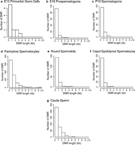 DMR Length The Number Of DMR At Different DMR Lengths In Kilobases Download Scientific Diagram