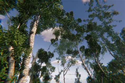 Trees Collection Asset Pbr 3d Trees Unity Asset Store