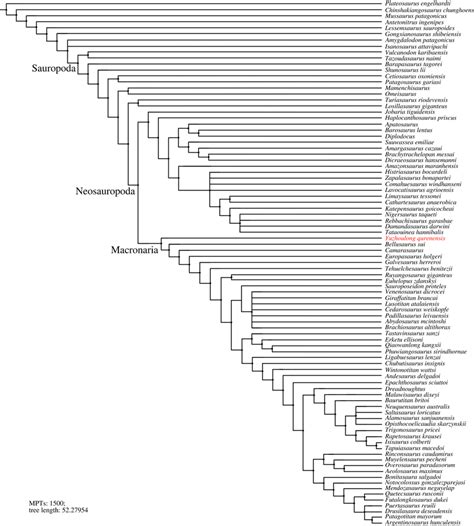 strict consensus tree of eiw analysis from supplementary data matrix