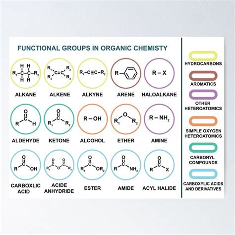 Functional Groups Chart Biology