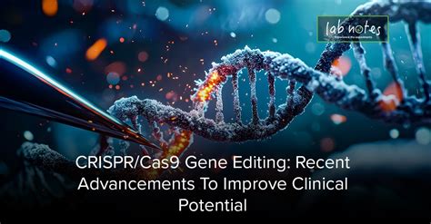 Crisprcas9 Gene Editing Recent Advancements To Improve Clinical Potential