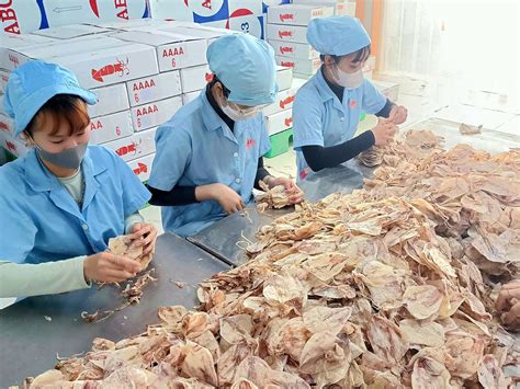 M T H Ng N Ng L M Th Y S N Xu T Kh U V T Ng Ng T Usd B O B R A V Ng T U I N T