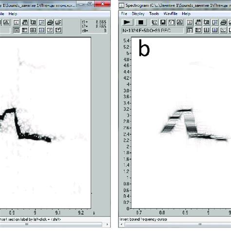 Influence Of Window Type On The Spectrogram Image A Flattop Window