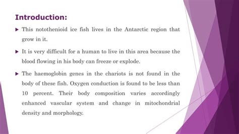 Antarctic Blackfin Icefish Genome Reveals Adaptations To Extreme