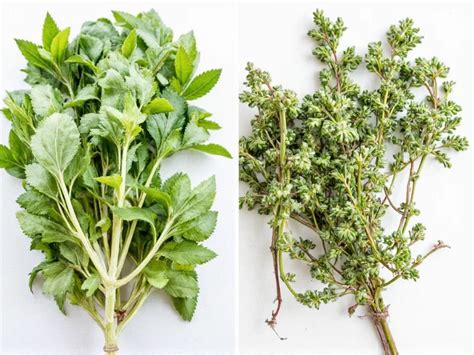 Fresh Herb To Dried Herb Conversion 31 Ratio Guide