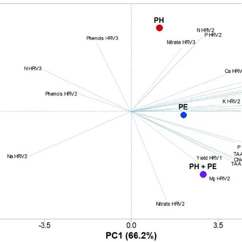 Principal Component Loading Plot And Scores Of Principal Component