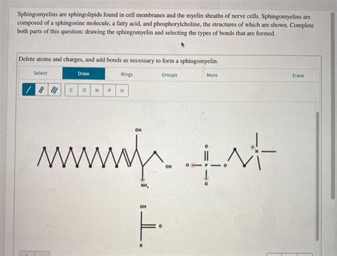 Solved Sphingomyelins Are Sphingolipids Found In Cell