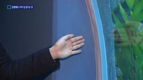 제2 롯데월드 아쿠아리움 수조관 균열 숨기고 영업