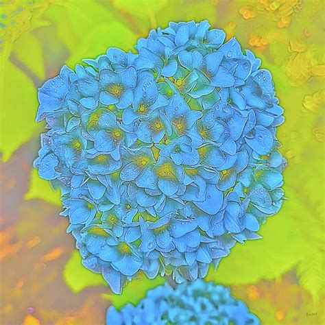 Hydrangea After A Rain Digital Art By Bruce Block Fine Art America