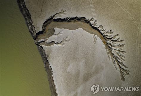 유럽 3분의2 가뭄에 고통500년만의 최악 진단 나무뉴스