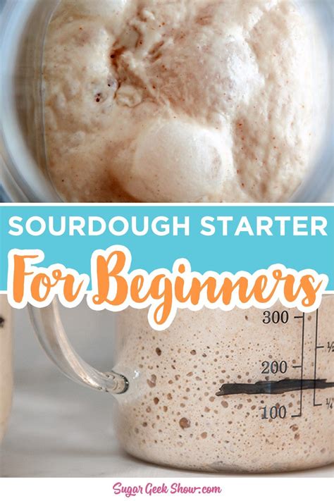 How To Make Sourdough Starter Artofit