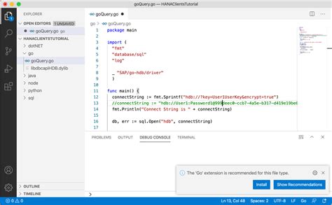 Connect Using The Sap Hana Go Interface Sap Tutorials