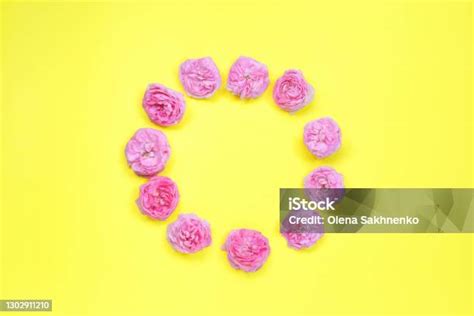 컬러풀한 밝은 꽃 무늬 노란색 배경에 분홍색 장미 꽃으로 만든 둥근 프레임 플랫 레이 상단 뷰 복사 공간 0명에 대한 스톡 사진 및 기타 이미지 Istock