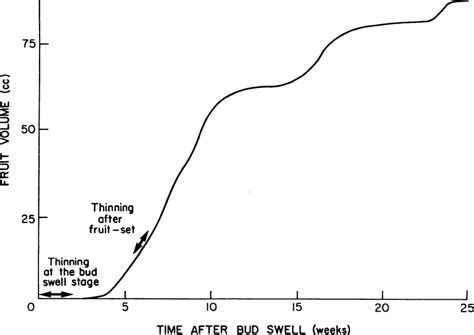Triple Sigmoid Growth Curve Of Kiwifruit From Ref 8 And The Stages Download Scientific