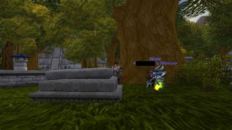 Im Pretty Sure I Just Won The Fel Imp Random Name Lottery R Wow