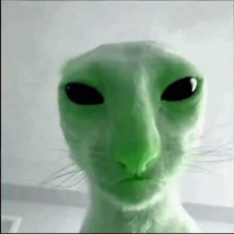 Green Alien Pfp By Bella