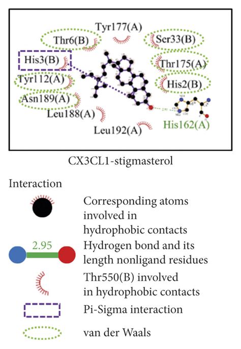 Binding Mode Of Protein And Compounds Download Scientific Diagram