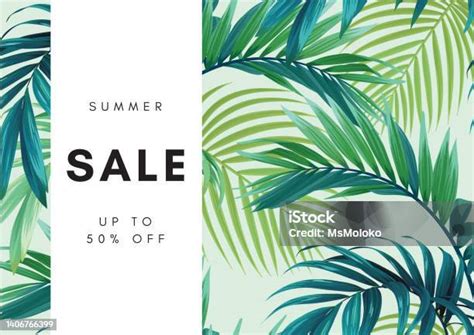 몬스터 야자수 잎을 가진 하와이 꽃 디자인 이국적인 열대 여름 벡터 배경 야자 나무 Arecales에 대한 스톡 벡터 아트 및 기타 이미지 야자 나무